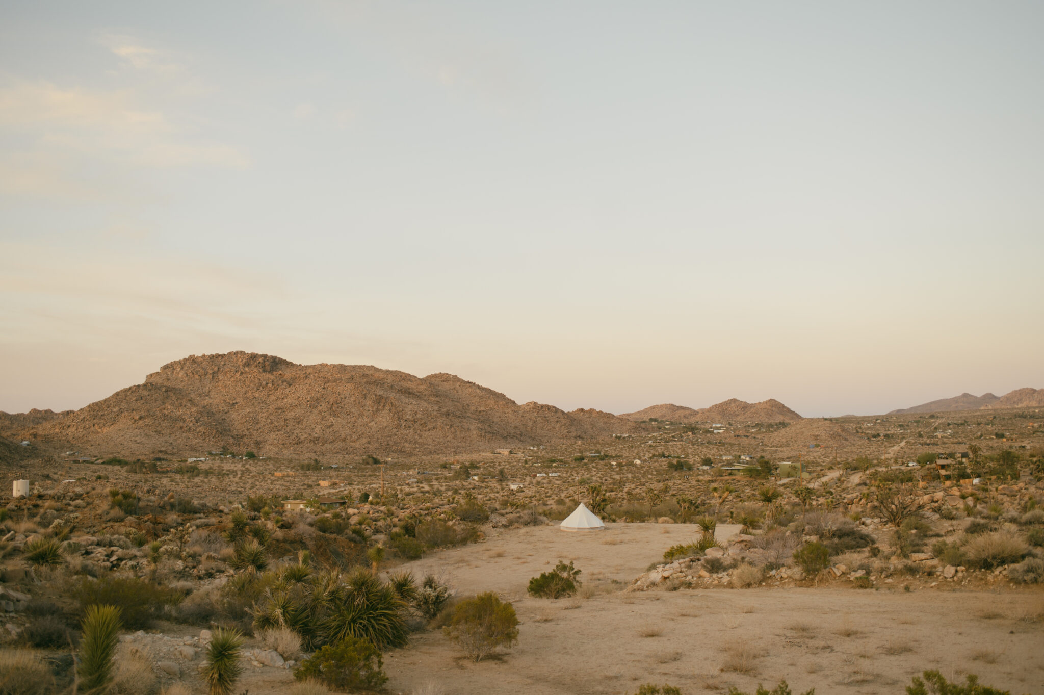 Eloping in Joshua Tree National Park: Top Tips + Tricks